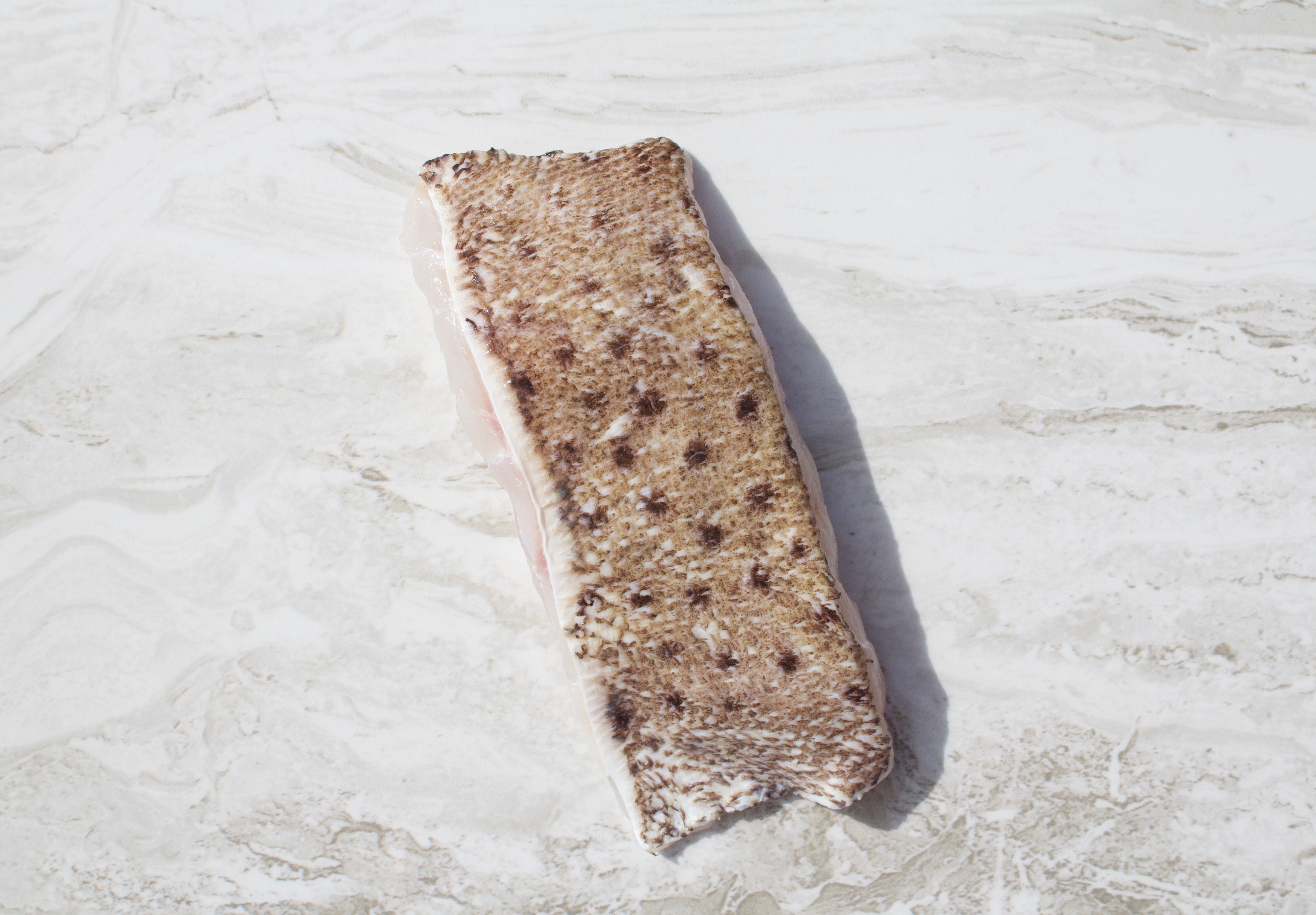 Mouse grouper fillet – LYHseafood