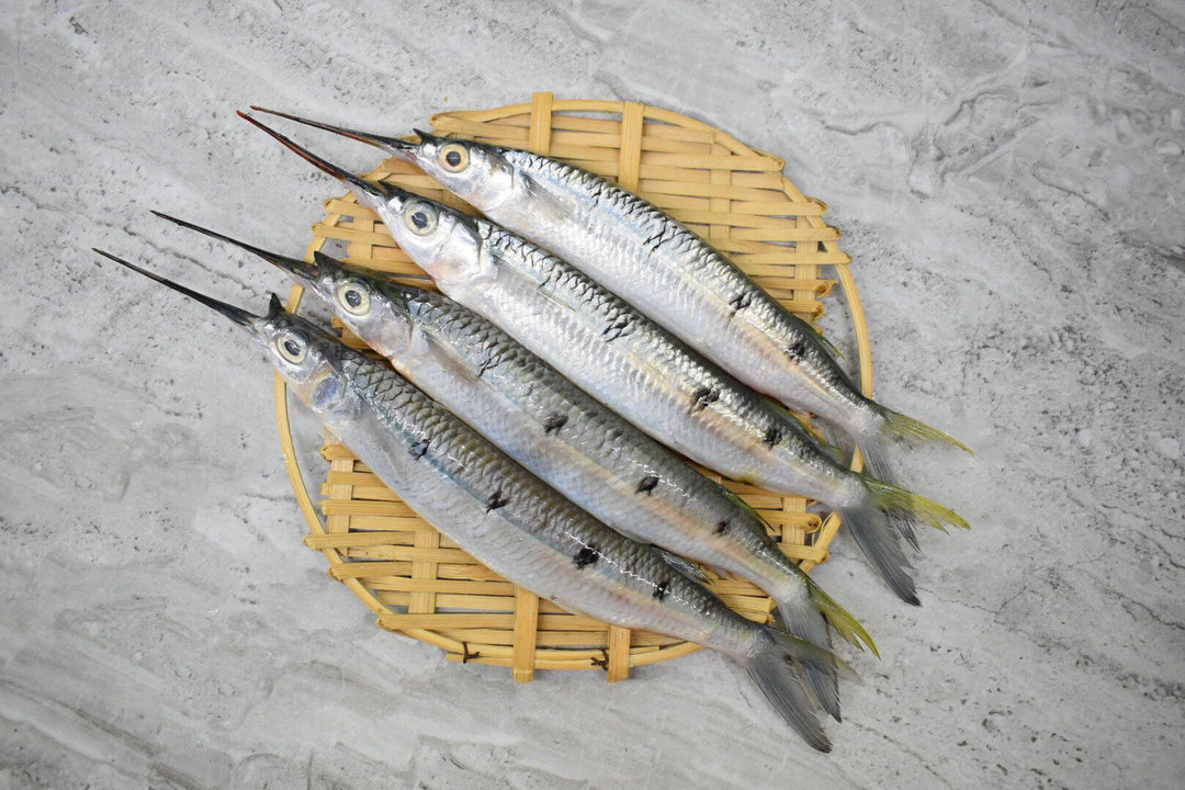 Garfish – LYHseafood