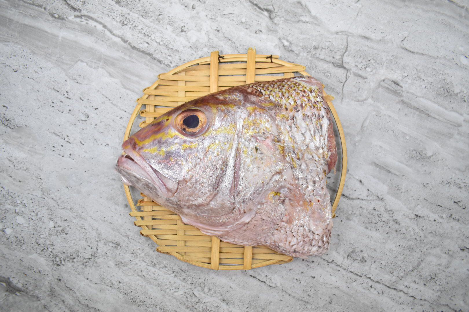 Angoli head |红戈里头| – LYHseafood