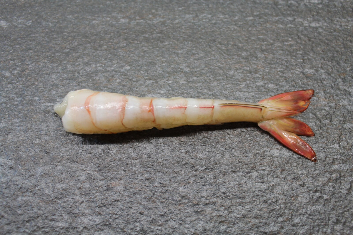 Ang Kar prawn |红脚虾| – LYHseafood