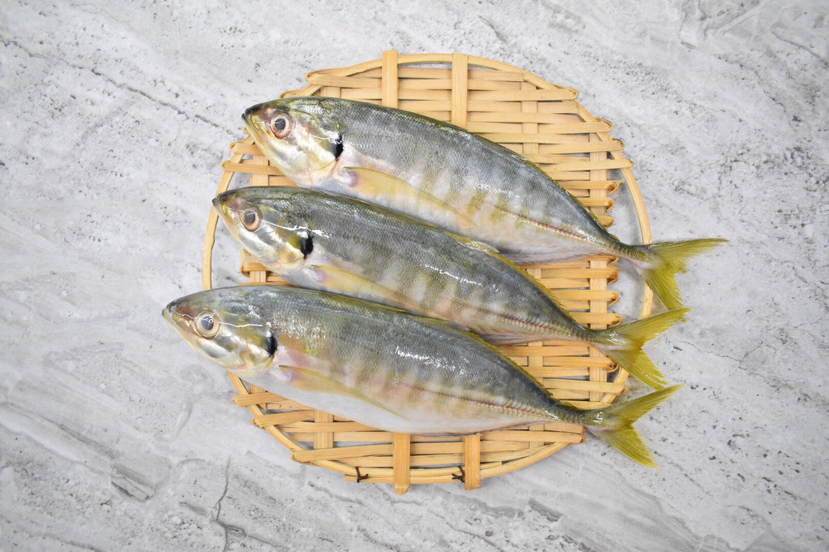 Ikan Selar – LYHseafood