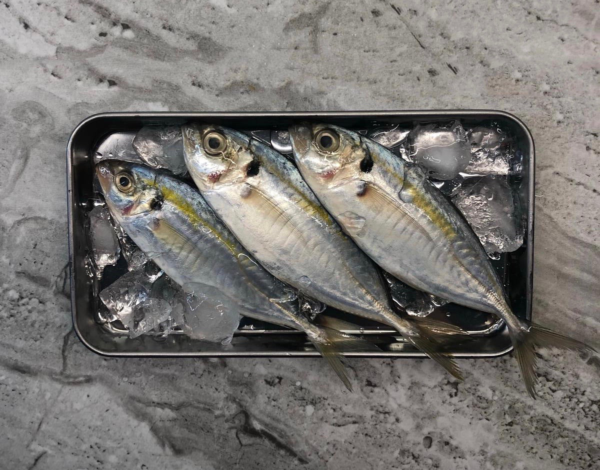 Ikan kunning |君令鱼| – LYHseafood