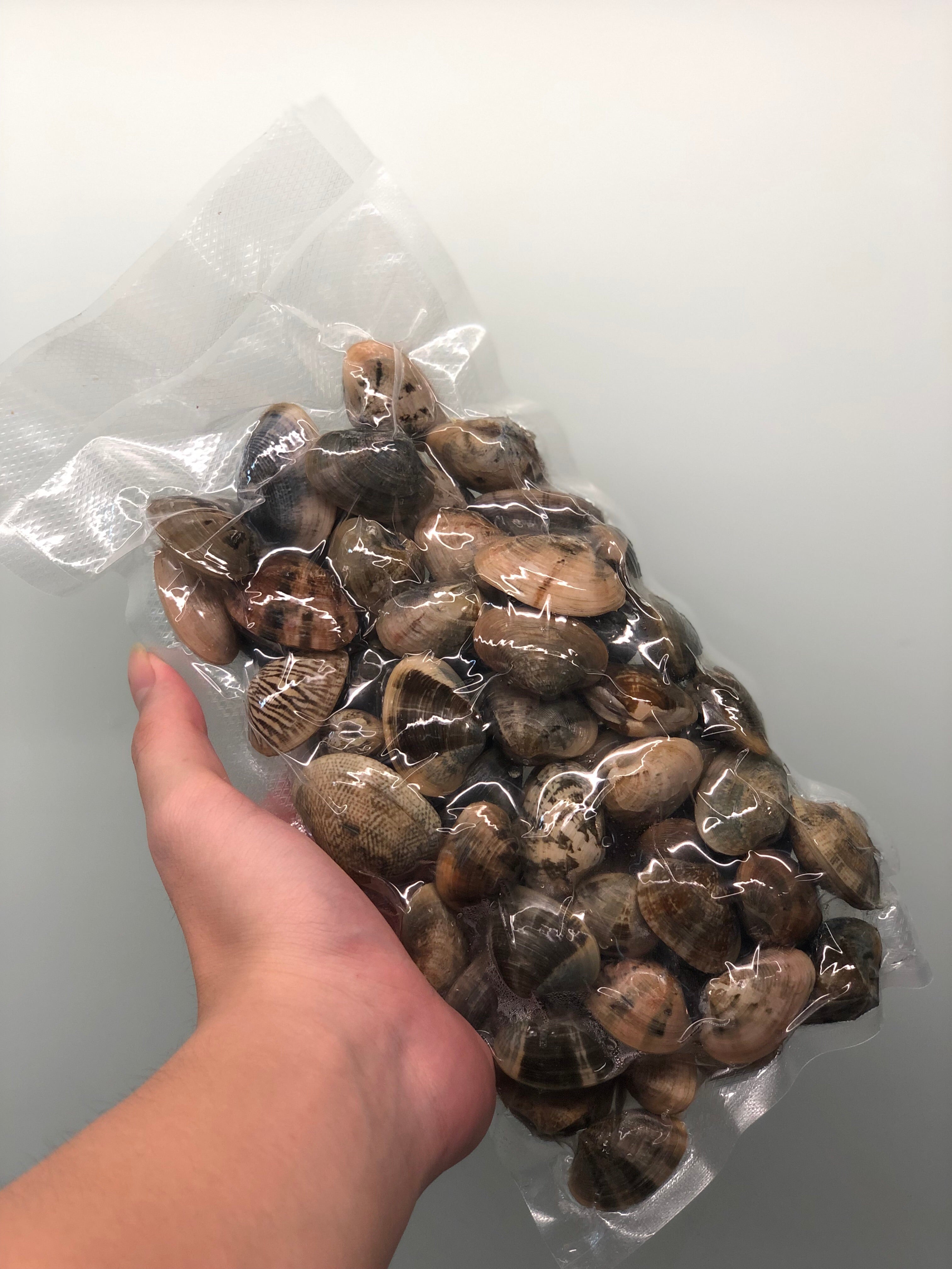 Flower Clam |花啦| – LYHseafood